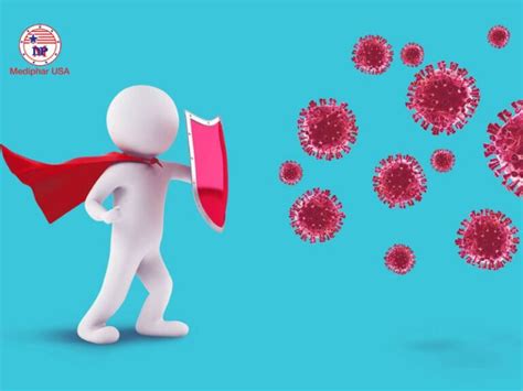 Atiso Thành Phần Công Dụng Cách Dùng Và Lưu ý Khi Sử Dụng