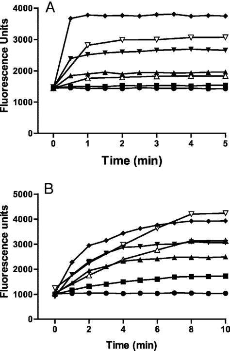 Permeabilization Of E Coli Membranes By Defb118 A Outer Membrane