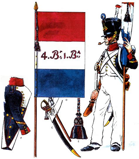 Épinglé sur Napoleonic French Line Infantry