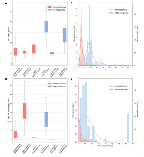 chromosome counts and genome sizes for heterosporous and homosporous