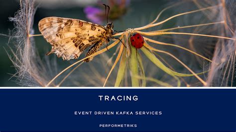 How To Trace Event Driven Kafka Services