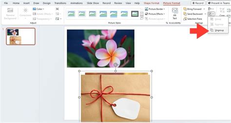 The Best Guide To Crop Pictures In PowerPoint Perfectly MyExcelOnline The Best Guide To Crop Pictures In PowerPoint Perfectly MyExcelOnline