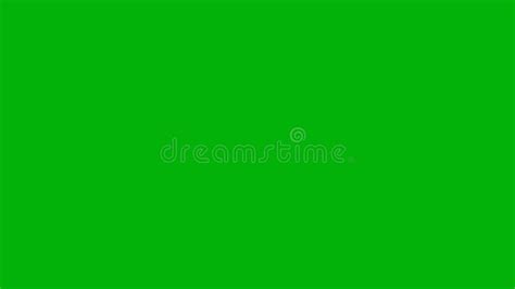 Feather Green Screen Bacgrounds 4k Stock Video Video Of Falling