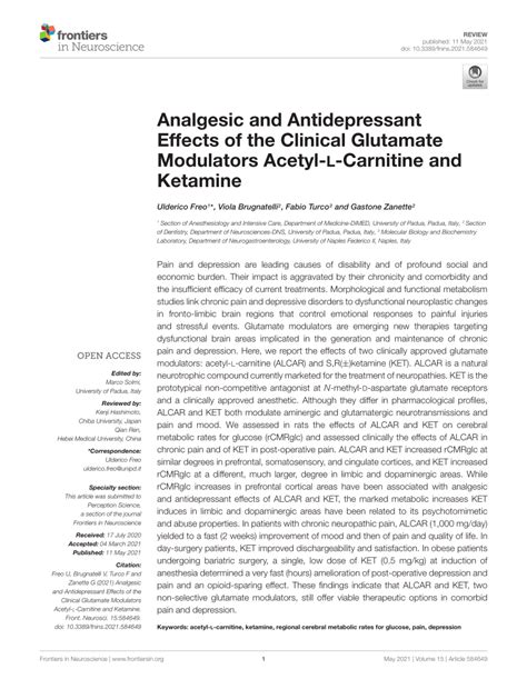 Pdf Analgesic And Antidepressant Effects Of The Clinical Glutamate