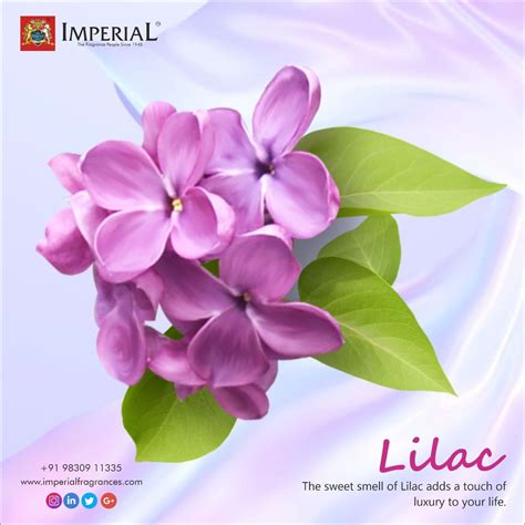 Mrinal Naik Posted On Linkedin