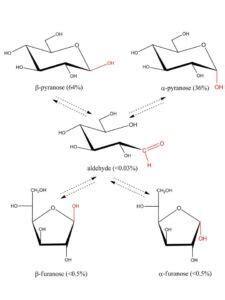 Nomenclature Glycopedia