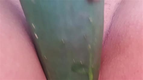 Garota Safada Esfrega No Pepino