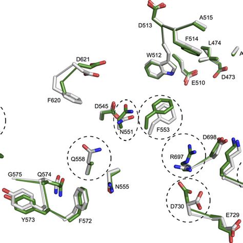 Multiple Alignment Of 45 Protein Sequences Identified From Blast Download Scientific Diagram