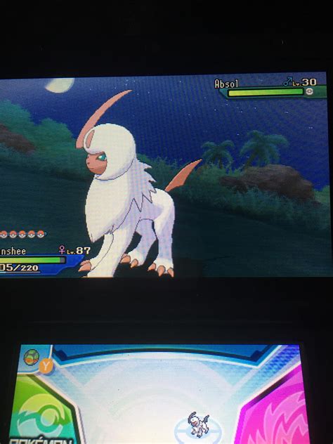 7 Ran Into My Second Ever Random Encounter Shiny Last Week Rshinypokemon