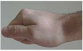Lab 1 And 2 Soft Tissue Component Of An Examination And Soft Tissue