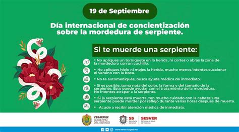 Día Internacional De Concientización Sobre La Mordedura De Serpiente 19