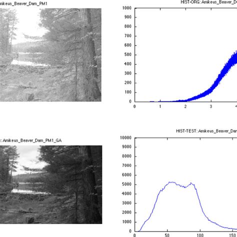 Original And Test Processed Images And Their Histograms From The