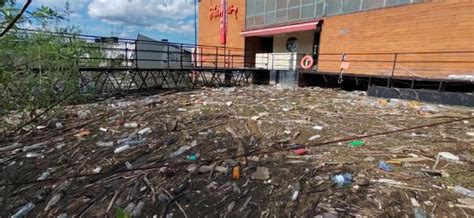 Plastične flaše kese kanisteri šta sve krasi Savu između splavova FOTO