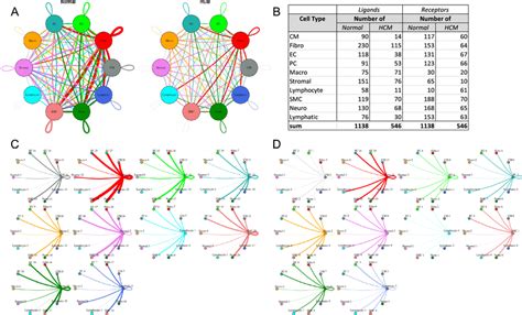 Intercellular Communication Networks Are Reduced In Hcm A Cellcell