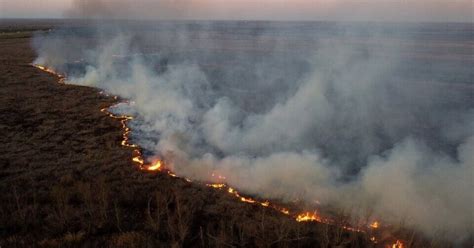Alarmante En 2023 Los Incendios Forestales En Argentina Afectaron 60
