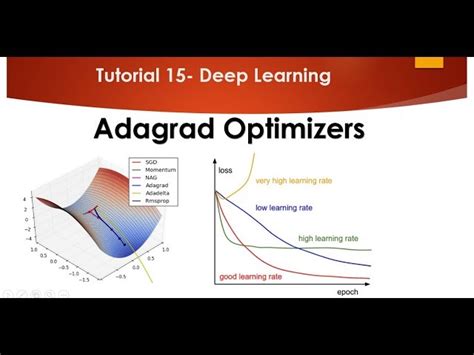 TensorFlow Adagrad What You Need To Know Reason Town