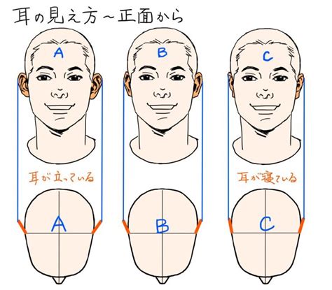 耳の位置を意識すると、人物イラストに存在感を引き出させる