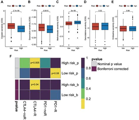 Identification And Validation Of A Twelve Immune Infiltration Related