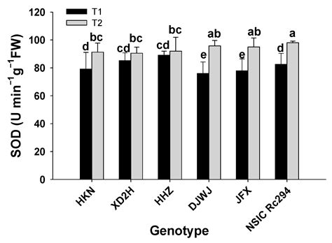 Effects Of Salt Stress On Physiological And Agronomic Traits Of Rice Genotypes With Contrasting