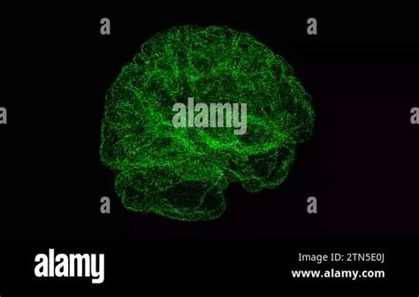 3d Brain Rotates On Black Bg Object Dissolved Flickering Particles Scientific Medical Concept