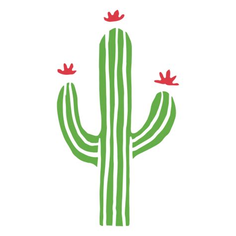 Design Png E Svg De Ícone De Planta De Cacto Cinco De Maio Para Camisetas