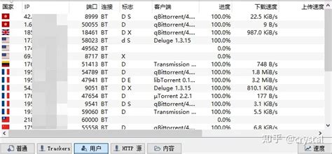 磁力下载如何使用？ 新老司机加油站