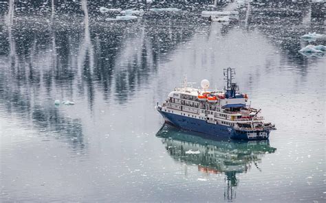 Antarctic Wildlife Adventure Polar Voyage Adventuresmith Explorations