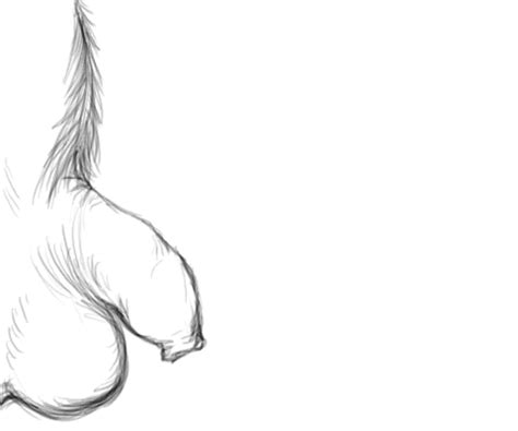 Rule Anatomical Anatomy Animated Balls Close Flaccid Foreskin Getting Erect Growth