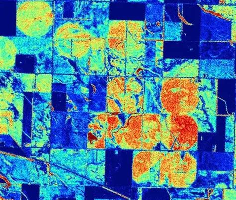 Ndvi Map Suas In Viticulture