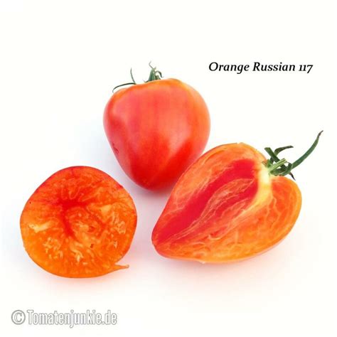Orange Russian 117 • Sortenbeschreibung