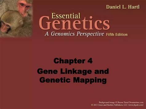 Ppt Chapter 4 Gene Linkage And Genetic Mapping Powerpoint