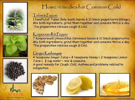 3 Remedies For The Common Cold From Isha Arogya