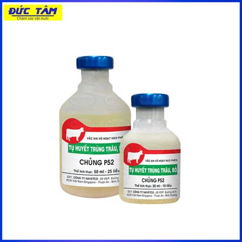 TỤ HuyẾt TrÙng TrÂu BÒ Thú Y Đức Tâm
