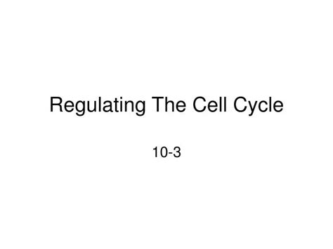 Ppt Regulating The Cell Cycle Powerpoint Presentation Free Download Id 2767564