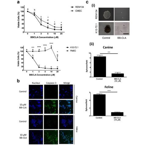 Cisplatin Displays Anti Tumor Activity In Xenograft Mouse Models