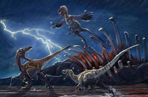 【科普】伶盗龙：velociraptor，你究竟是谁！ 哔哩哔哩
