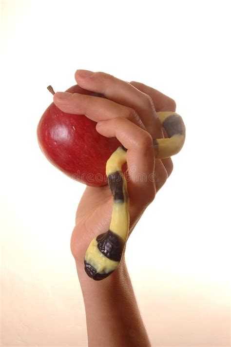Eve Temptation Stock Image Image Of Eden Serpent Danger 1617571