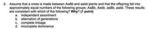 Solved Assume That A Cross Is Made Between Aabb And Aabb