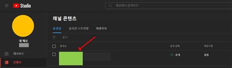 업로드된 유튜브 동영상 수정 방법 Youtube 스튜디오 기능 및 사용
