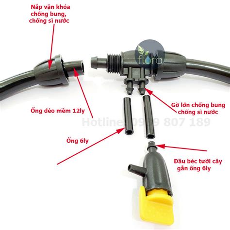 T N I U Ng Ly U Ng Ly Malee T I Nh Gi T T I Tphcm