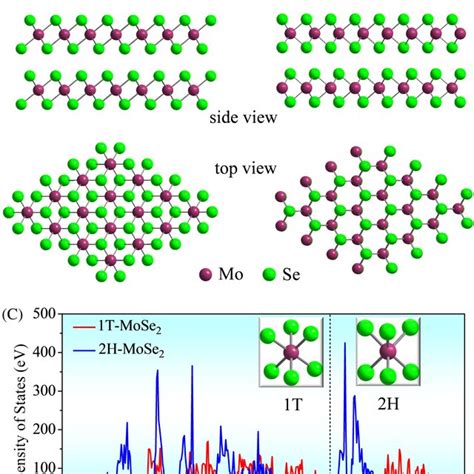 A B Structural Models Of 1t‐ And 2h‐mose2 C Calculated Dos Of