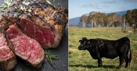 What Makes Wagyu Beef So Expensive Elite Readers
