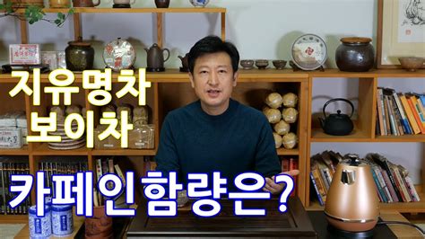 보이차카페인함량은 지유명차 보이차의 카페인 함량은 어떻게 될까요 검사해봤습니다 영상으로 확인해 보세요 지유명차