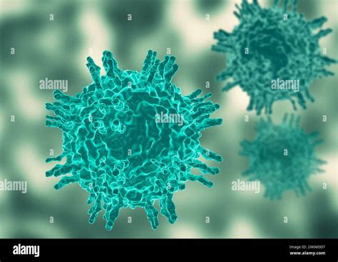 Morbillivirus Is The Virus That Causes The Infectious Disease Known As