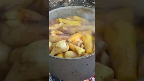 Have You Taste This Kind Of Food😱 Shortvideos Casavarecipe Fypシ