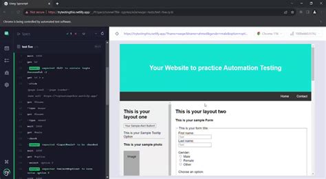 Cypress Form Filling With Typescript Waqar Ahmed Posted On The Topic Linkedin