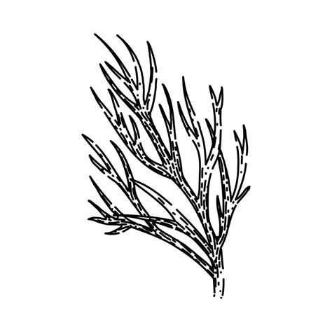 Croquis Daneth Vert Vecteur Dessiné à La Main Vecteur Premium