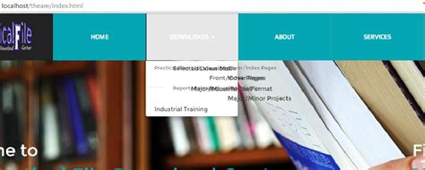 Jquery Bootstrap Navbar Dropdown List Become Messy In Desktop But Not