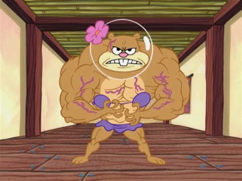 Image Karate Island 21 Png Encyclopedia Spongebobia Fandom