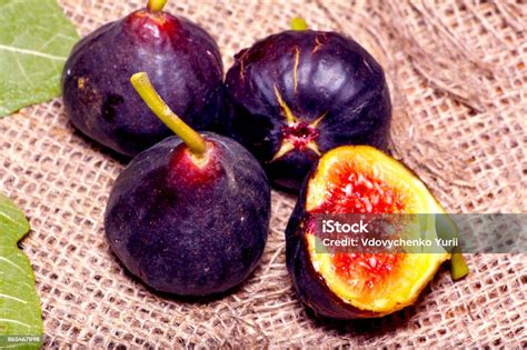 Buah Ara Manis Matang Dengan Daun Hijau Buah Ara Mediterania Yang Sehat